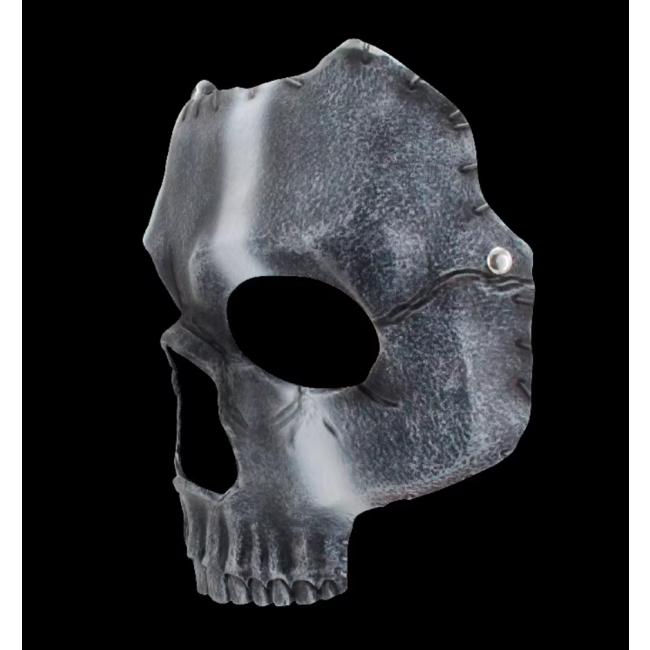 Call of Duty Skeleton Ghost Cosplay Mask